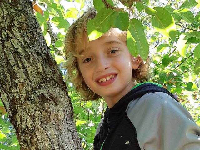 Asher Lawson - Gutsy Walk 2020