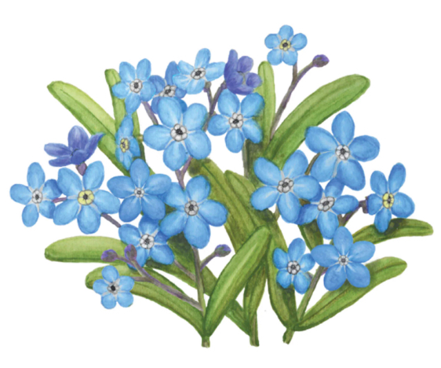 Betsy Thiffault - Walk to Fight Alzheimer's 2023