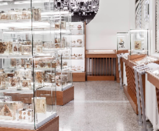 Maude Abbott Medical Museum - McGill Crowdfunding