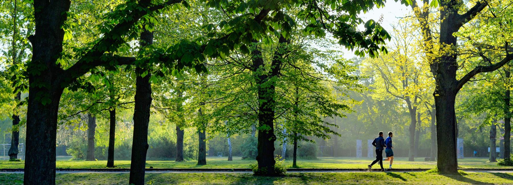 Toronto - Canada Walks for Bladder Cancer